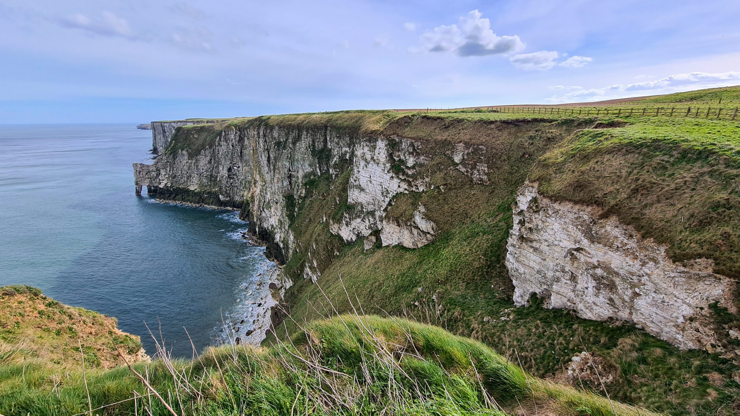 Visit Bempton Cliffs: Puffins, Walks & Stunning Views