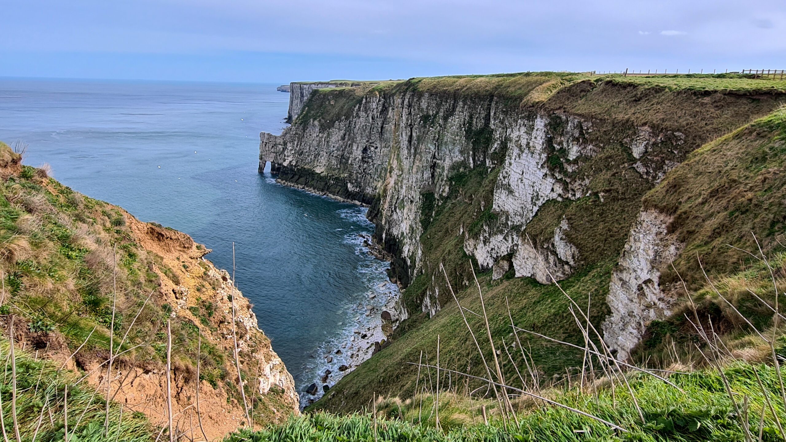 Visit Bempton Cliffs: Puffins, Walks & Stunning Views